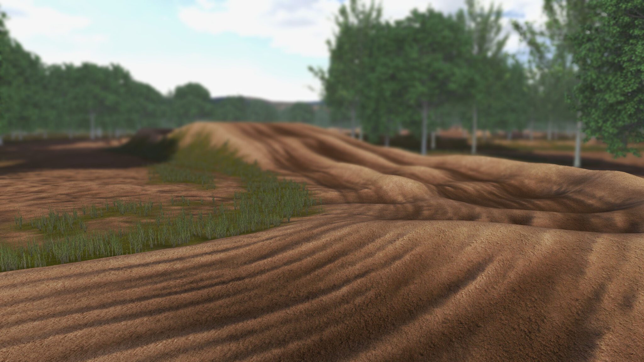 Red Sand MX Park v2 - MX Bikes Shop