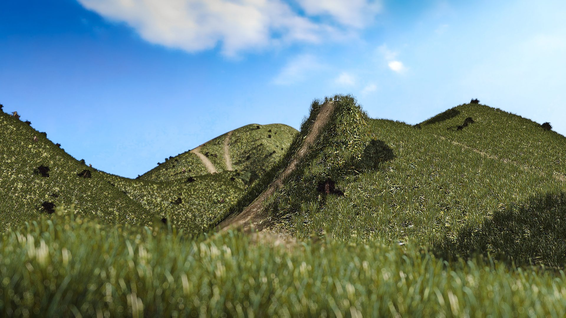 The Hills - MX Bikes Shop