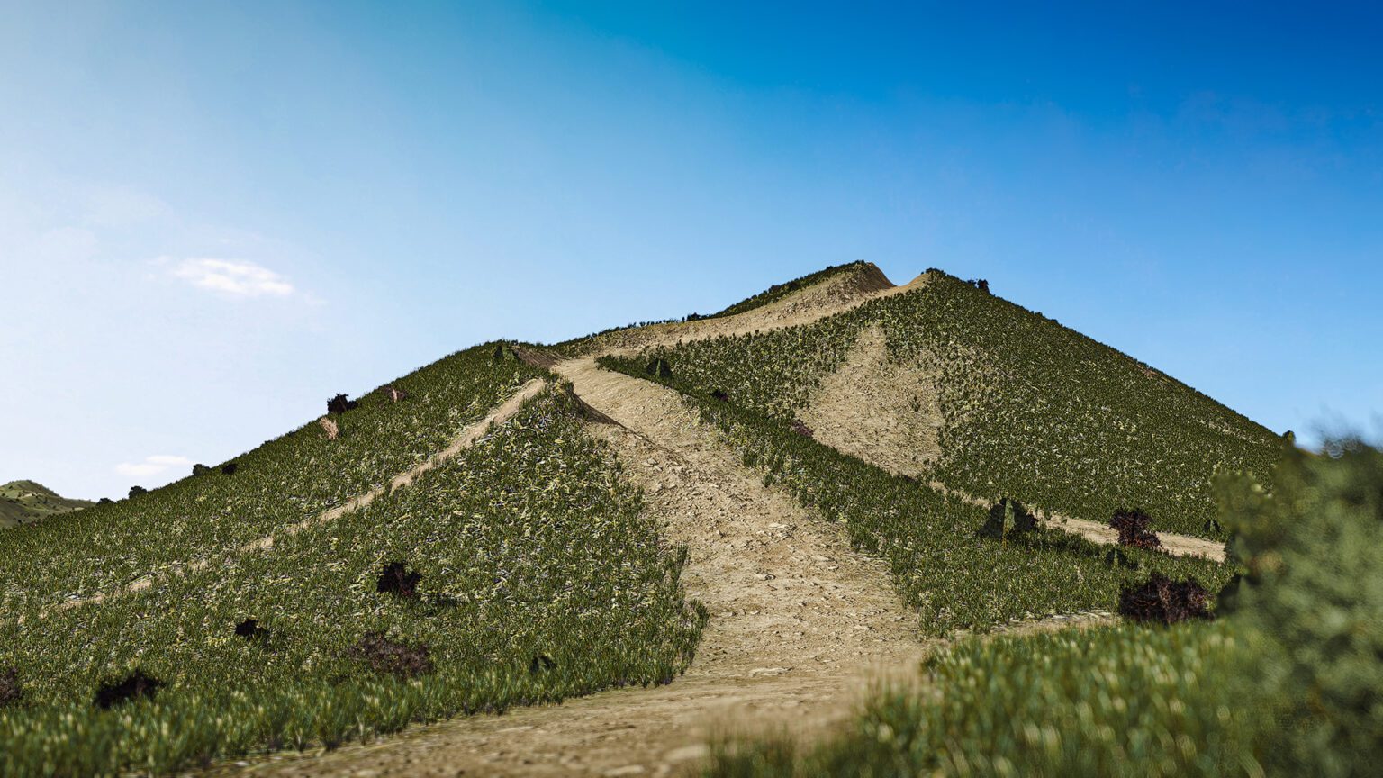 The Hills - MX Bikes Shop