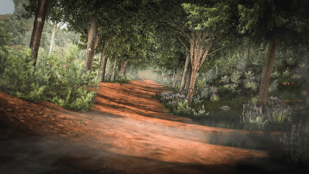 Candiland - MX Bikes Shop