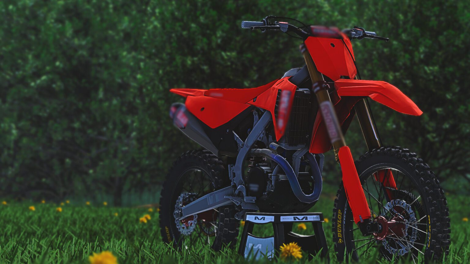 2025 CRF 250 - MX Bikes Shop