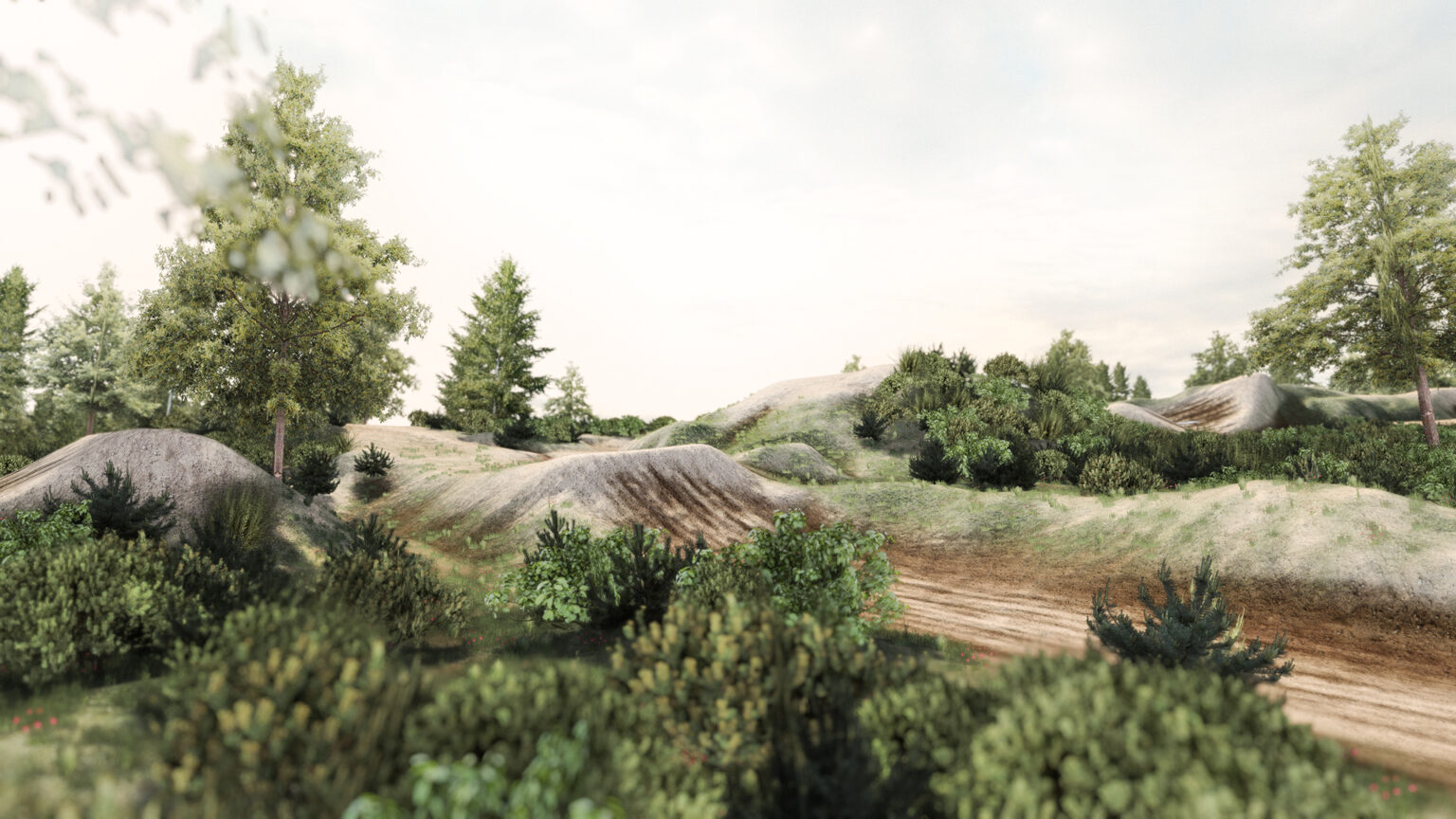 Royal Hills - MX Bikes Shop