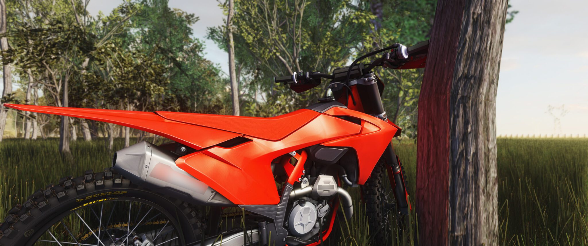 MXB-Mods Team 450 GG model swap - MX Bikes Shop